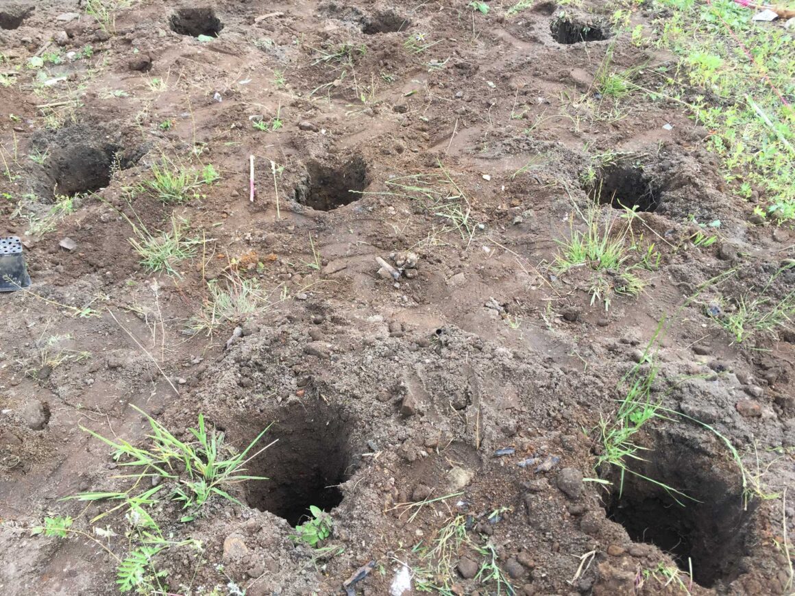Punktfundament gießen: Hier gehts zur Schritt-für-Schritt-Anleitung