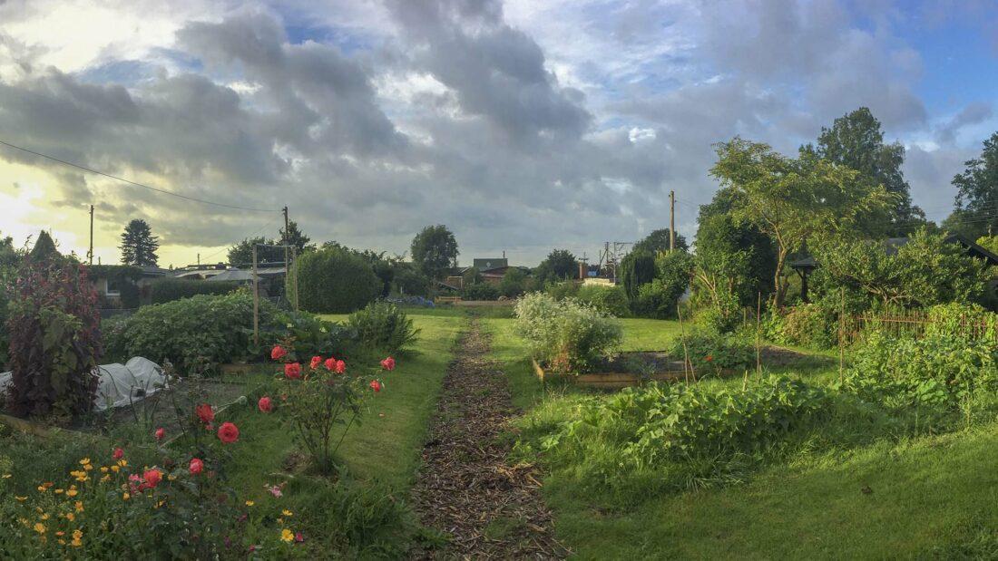 Blick in den Garten: Fotogalerie – Ein Stück Arbeit Blick in den Garten: Fotogalerie – Ein Stück Arbeit
