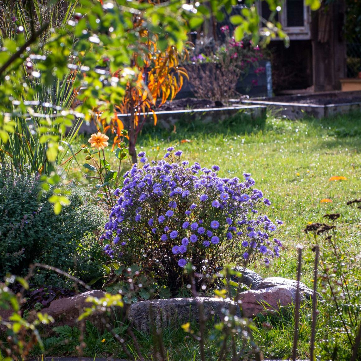 Gartengestaltung – Ein Stück Arbeit
