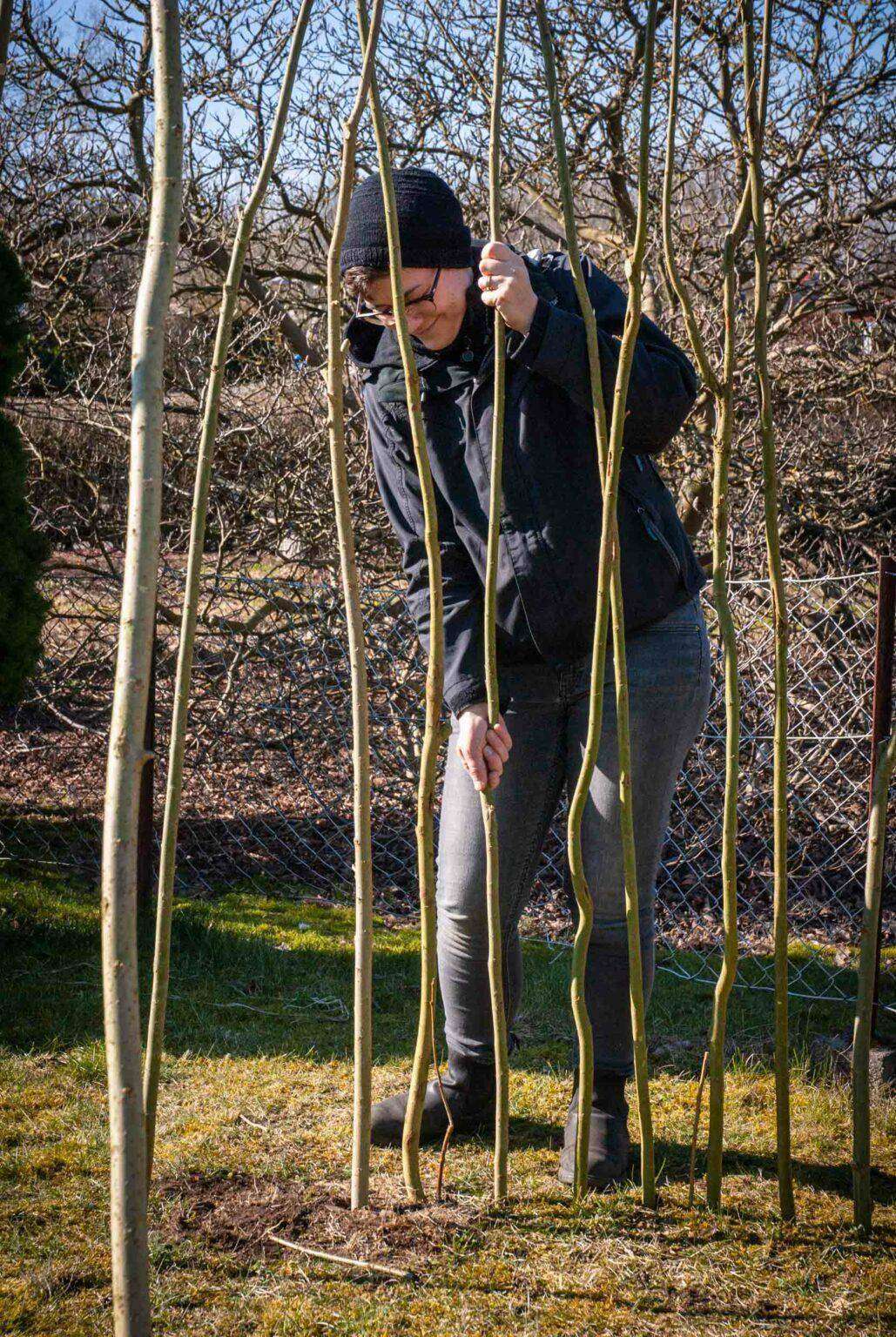 Weidentipi selber bauen: So gehts – Ein Stück Arbeit