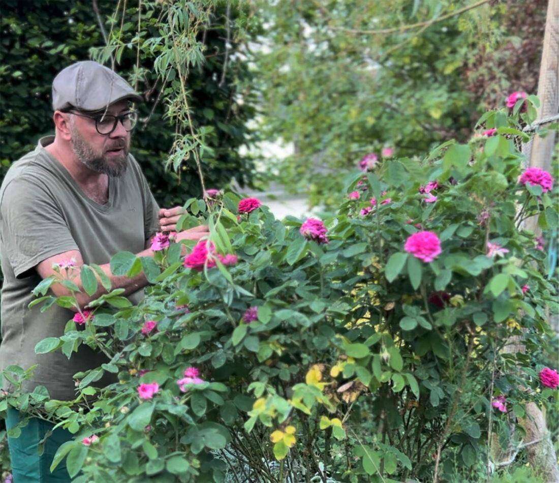 Debo, Author at Ein Stück Arbeit