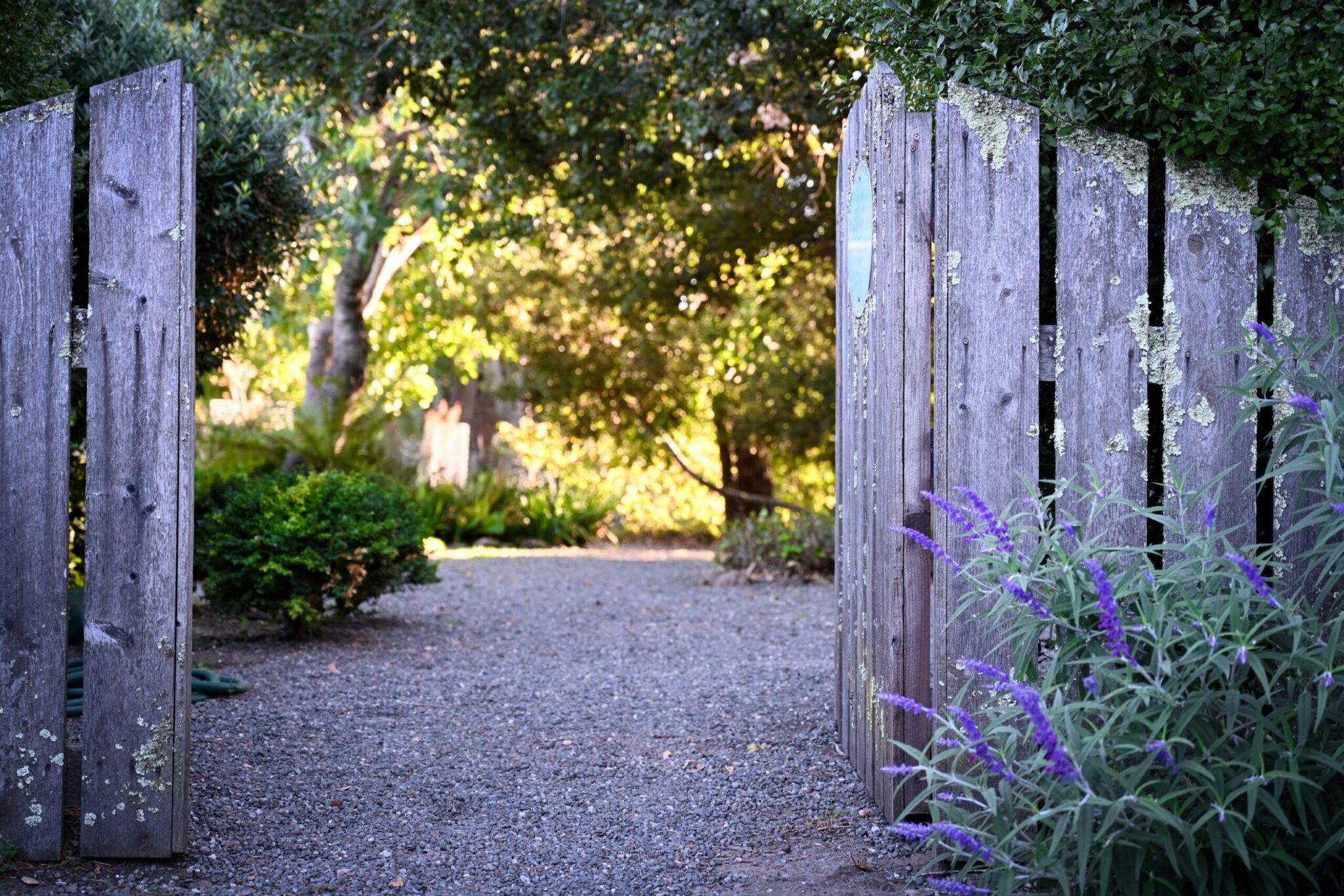 Sichtschutz im Garten: Ideen von klassisch bis modern – Ein Stück Arbeit